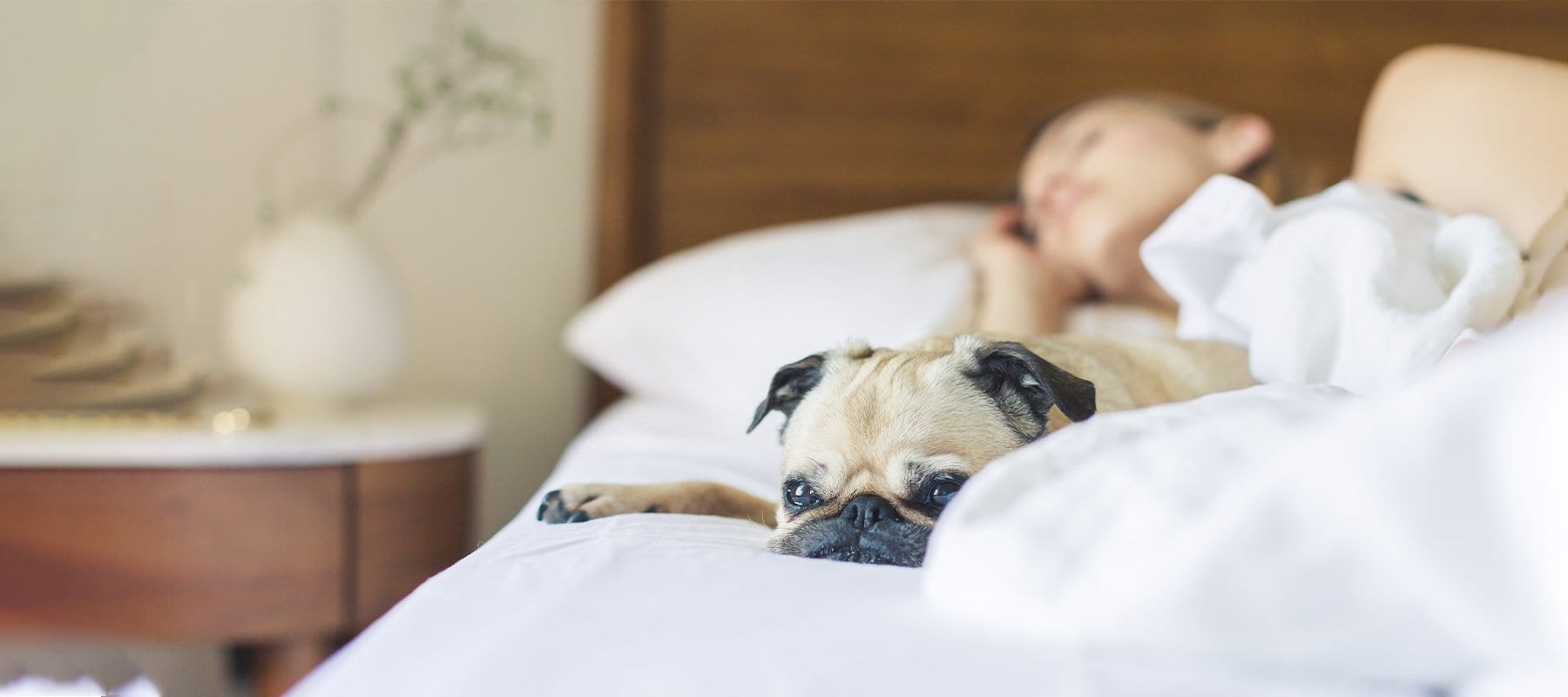 Mortgages & Home Loans | Synergy Financial Group